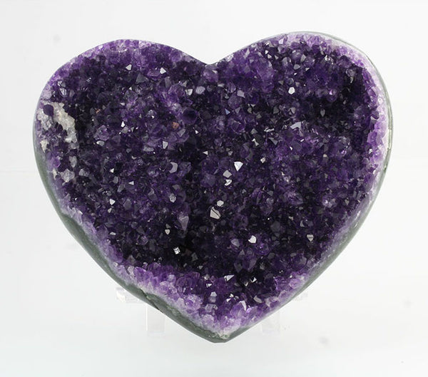 No Man? No Problem! - band of the free